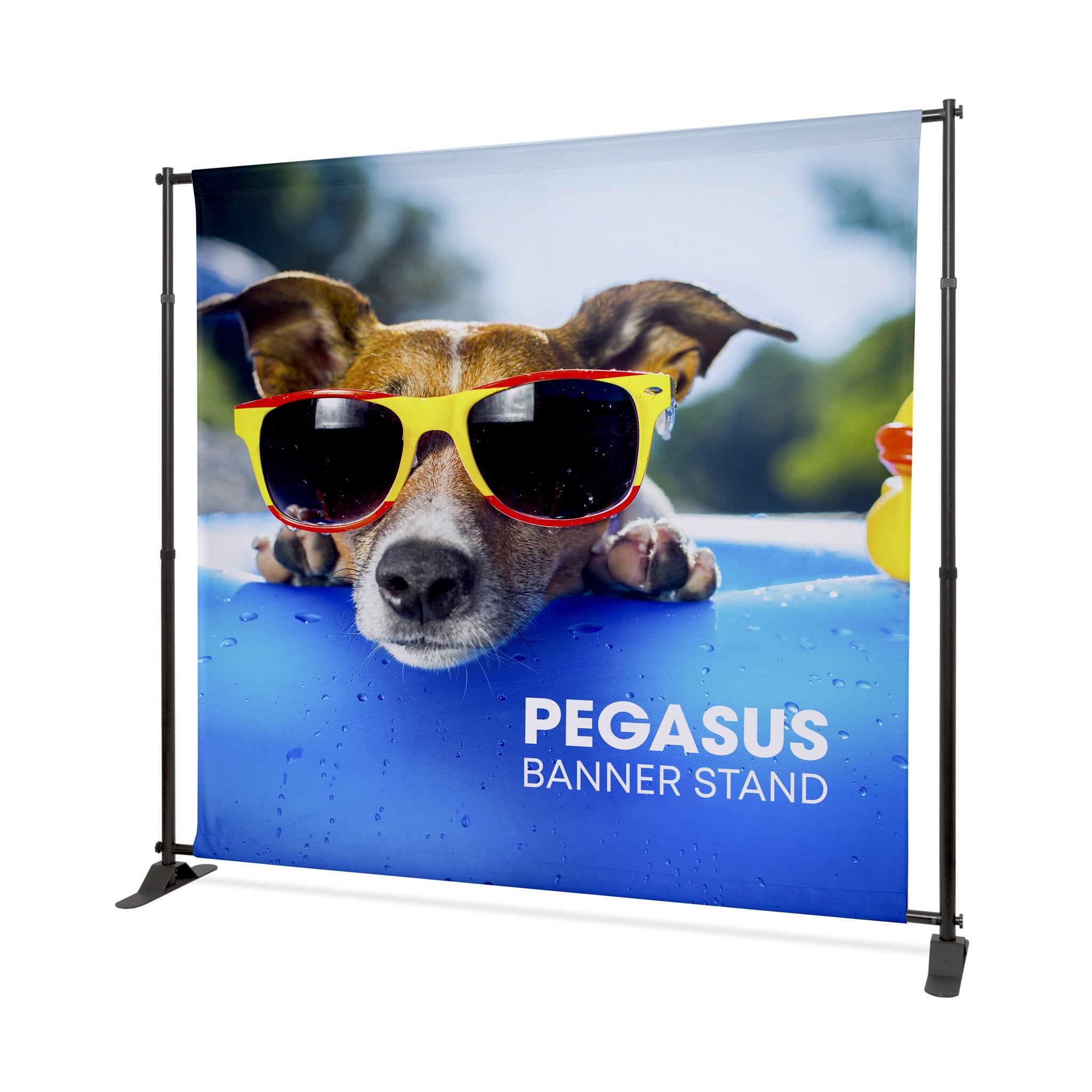 Tension Banner System Printing | Syne Graphics